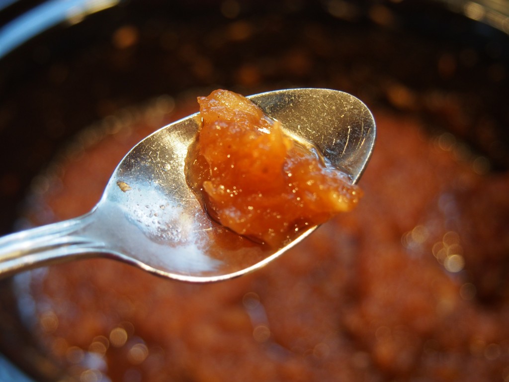 Crock Pot Apple Butter - My Kitchen Clatter